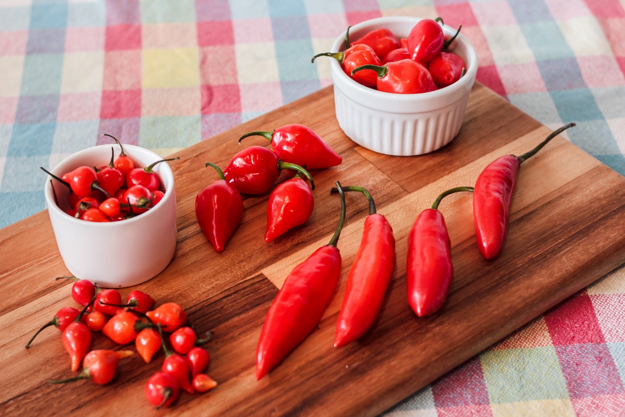 Pimenta: o Santo Graal dos alimentos - Meu amigo tem um sítio